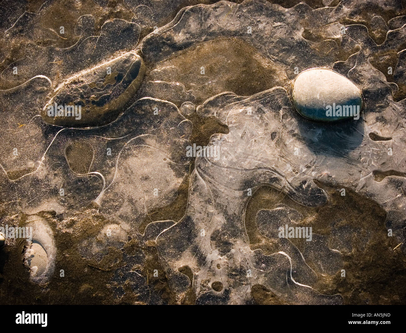 Pebbles frozen in pond hi-res stock photography and images - Alamy