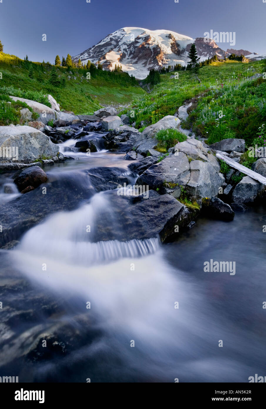 Mt Rainier and summer stream at sunrise Stock Photo - Alamy
