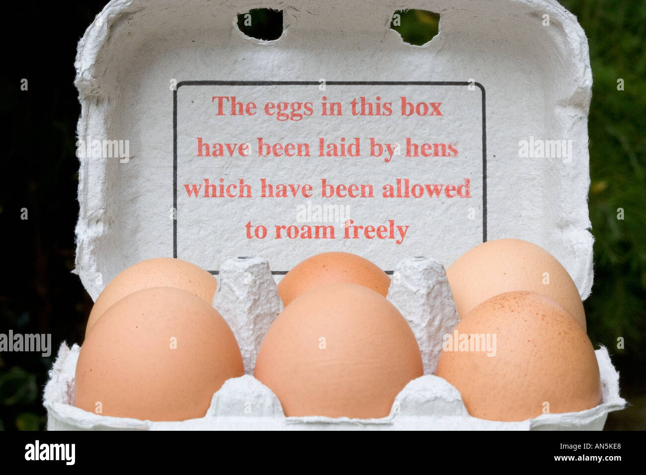 Organic free range eggs stating The eggs in this box have been laid by ...