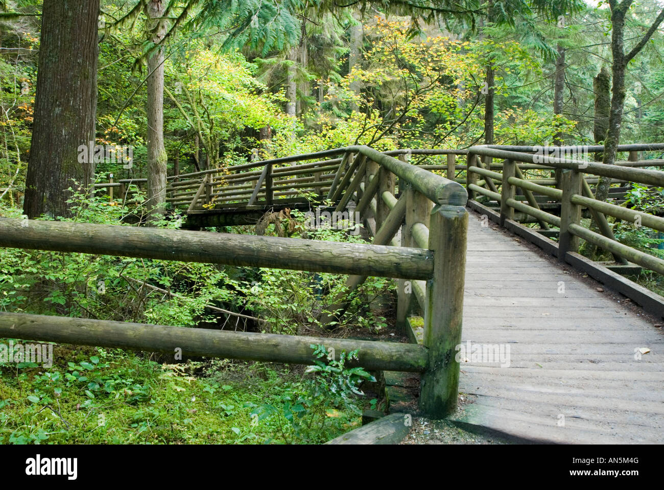 A forest path in Capilano Regional Park, North Vancouver, British ...