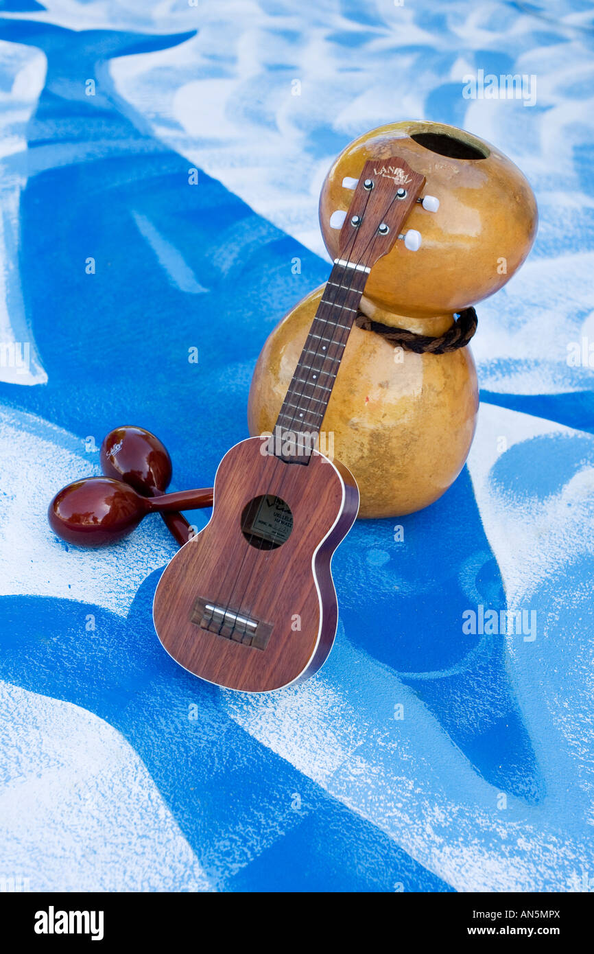 Ipu Heke ukulele Hawaiian musical instruments on blue dolphin painting ...