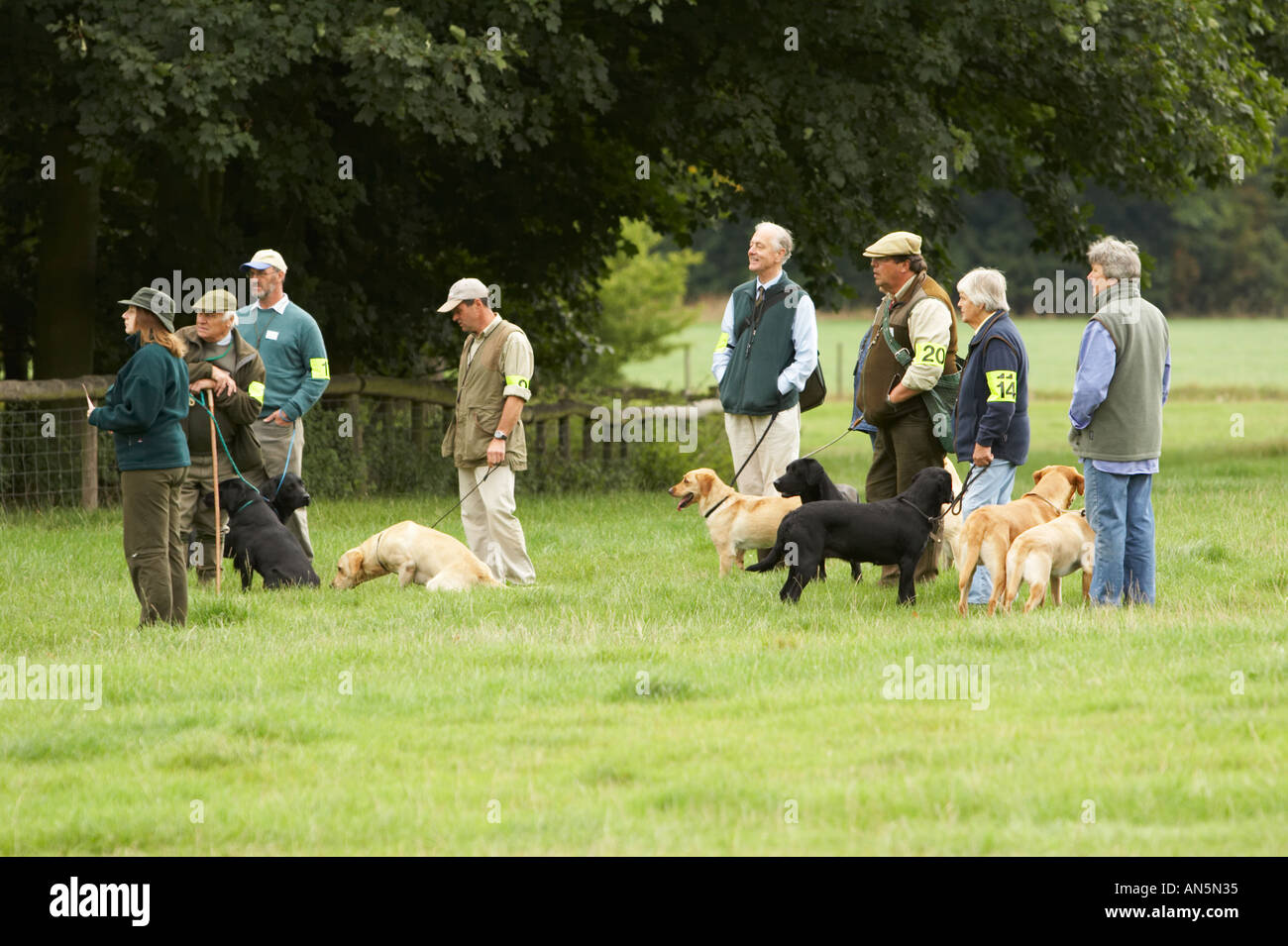 Field competitors hi-res stock photography and images - Alamy