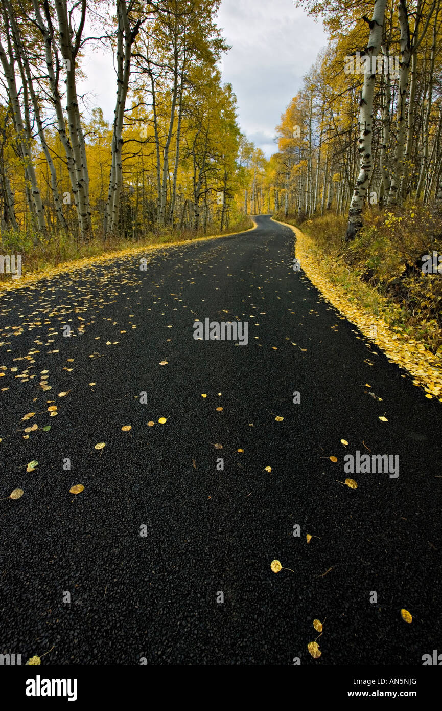 Historic scenic alpine drive hi-res stock photography and images - Alamy