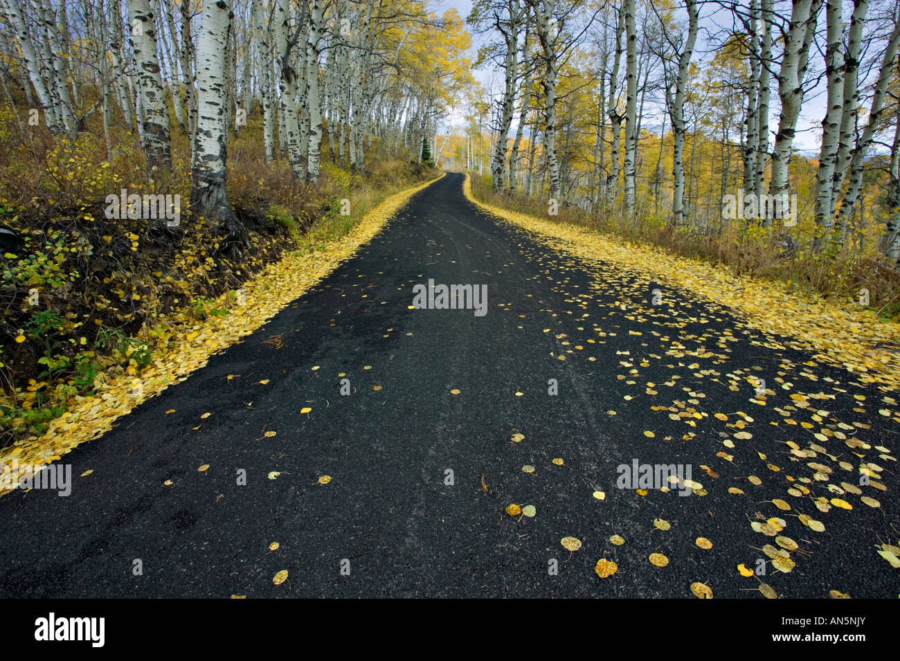 Historic scenic alpine drive hi-res stock photography and images - Alamy