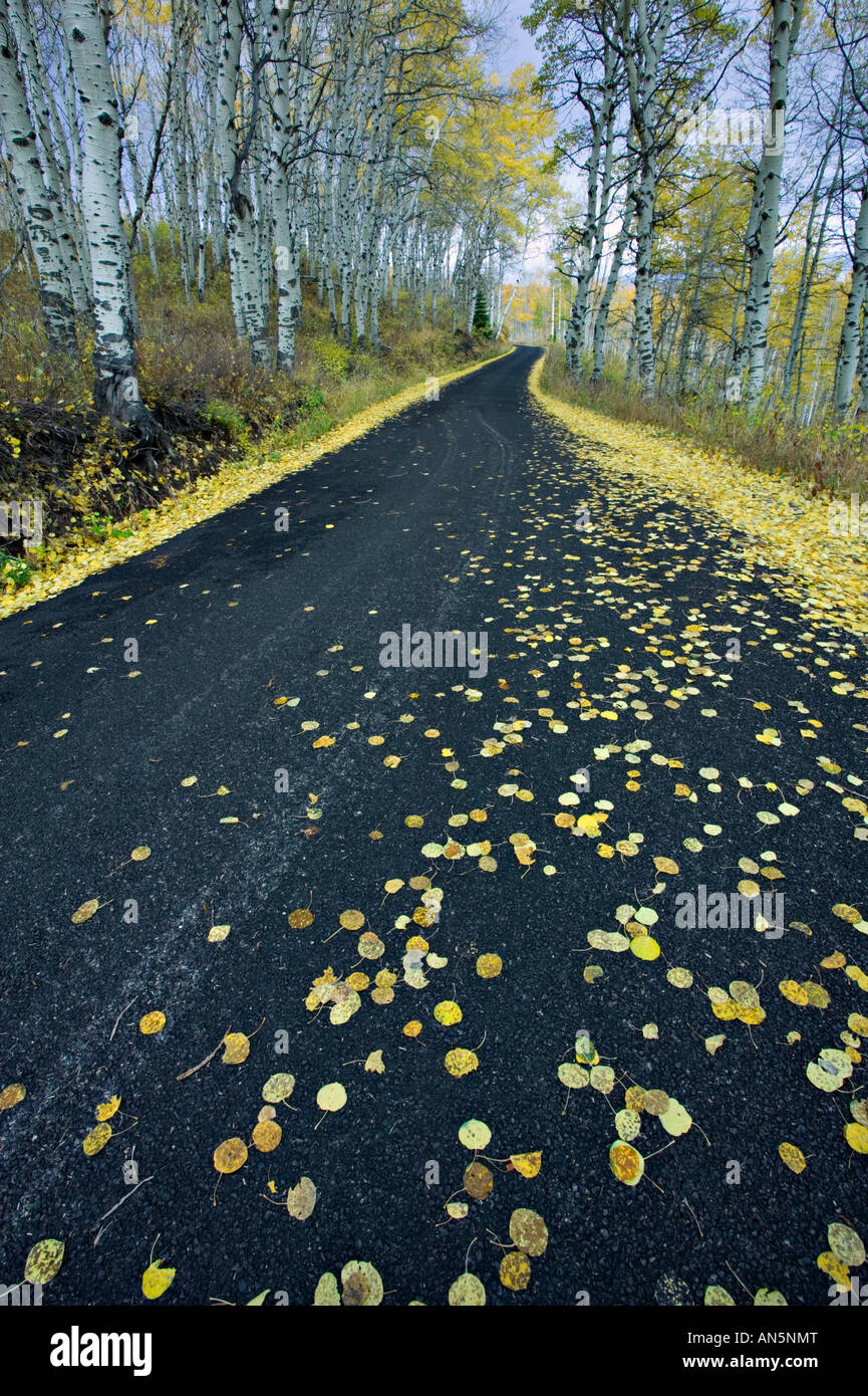 Historic scenic alpine drive hi-res stock photography and images - Alamy