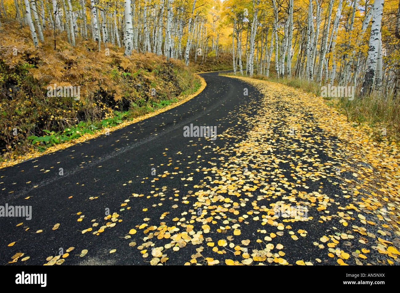 Historic scenic alpine drive hi-res stock photography and images - Alamy