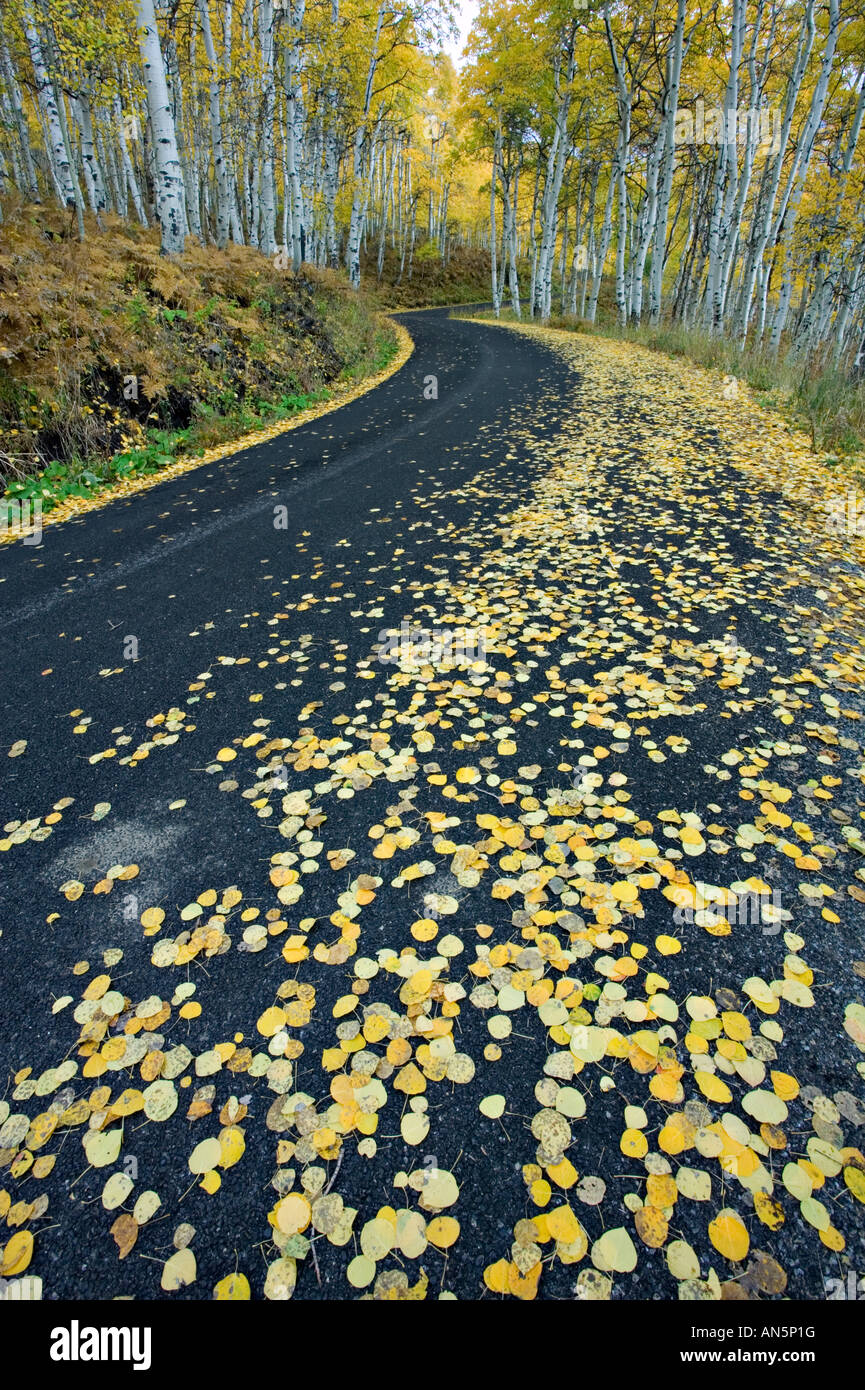 Historic scenic alpine drive hi-res stock photography and images - Alamy