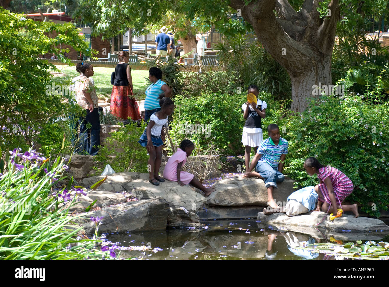 zoo park pool scene, Windhoek, namibia Stock Photo - Alamy