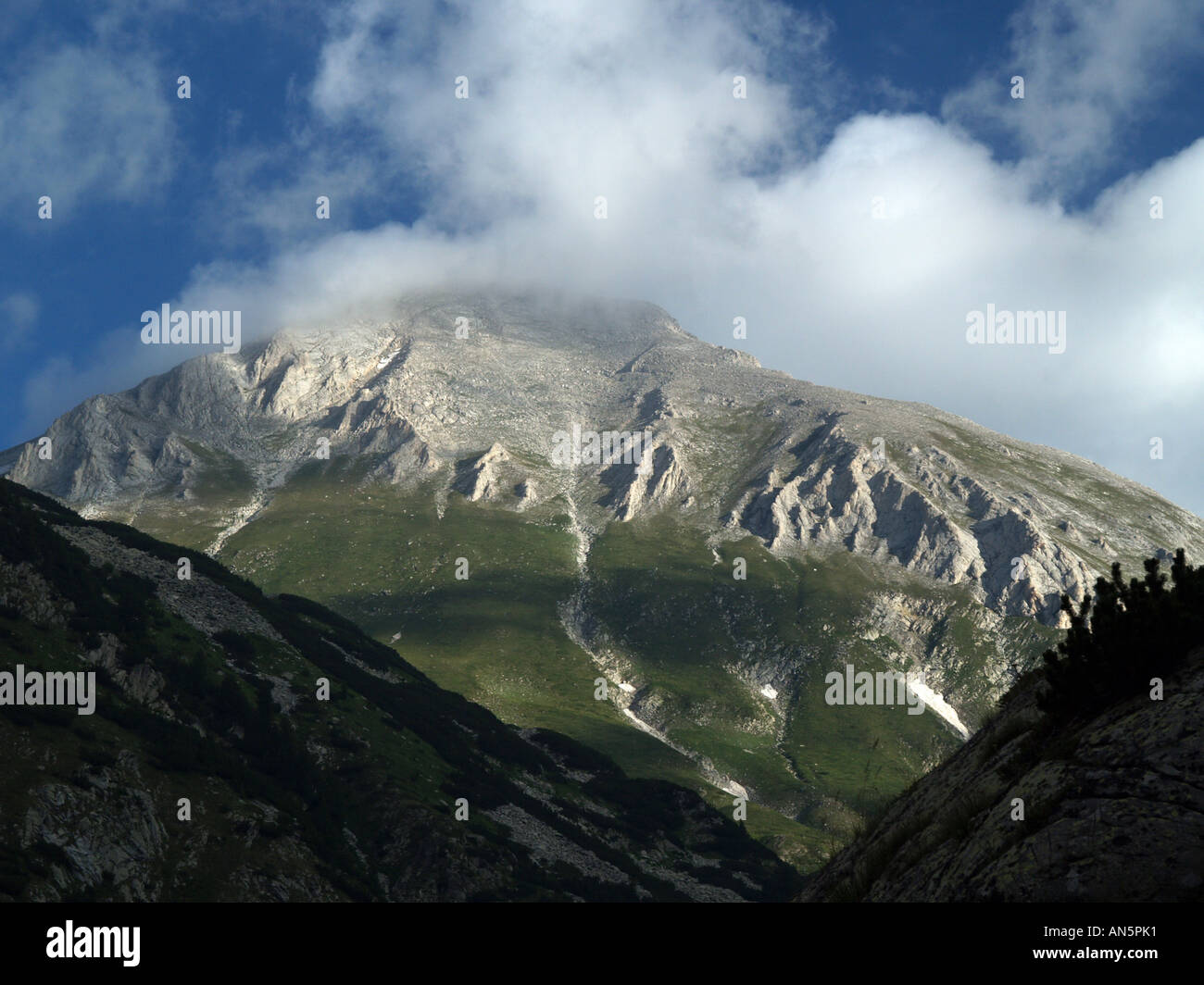 Vixren hi-res stock photography and images - Alamy