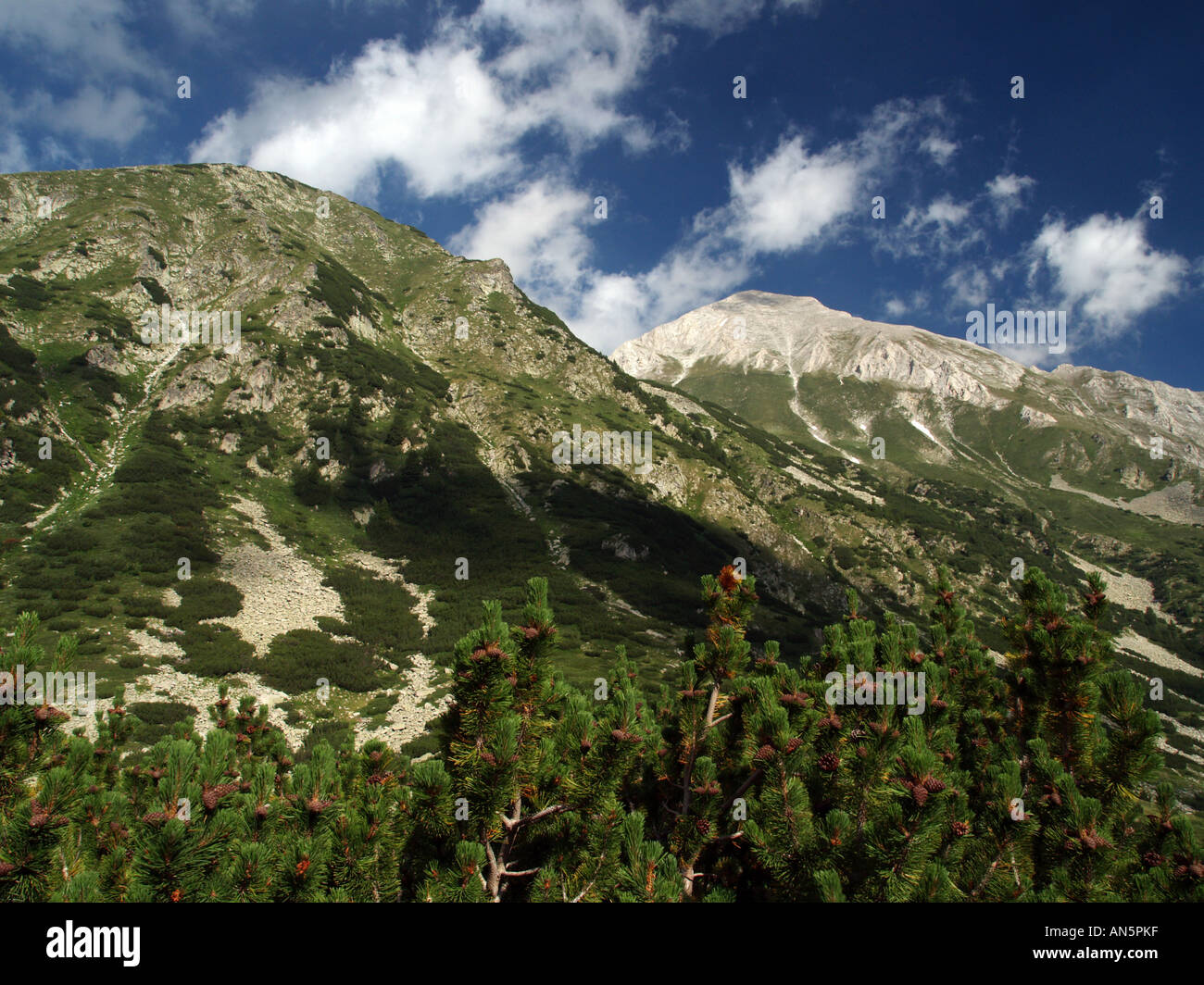 Vixren hi-res stock photography and images - Alamy