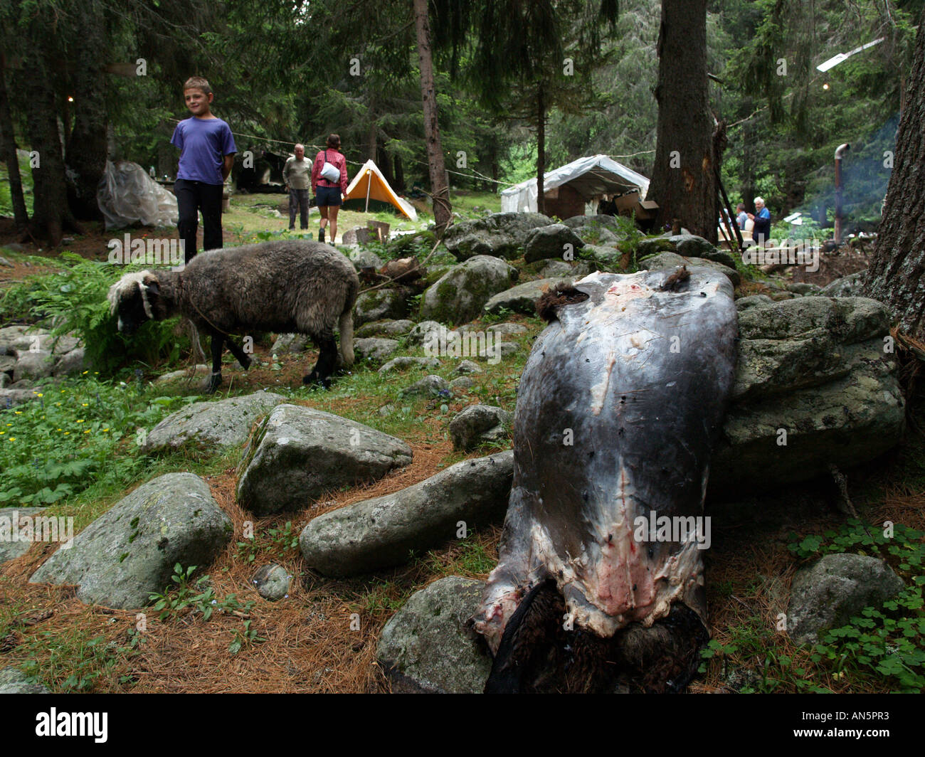 Pirin mountain people Stock Photo - Alamy