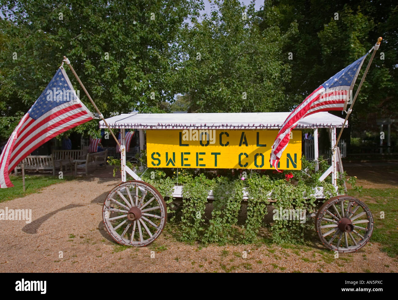 Farm stand selling corn in East Hampton, NY Stock Photo - Alamy