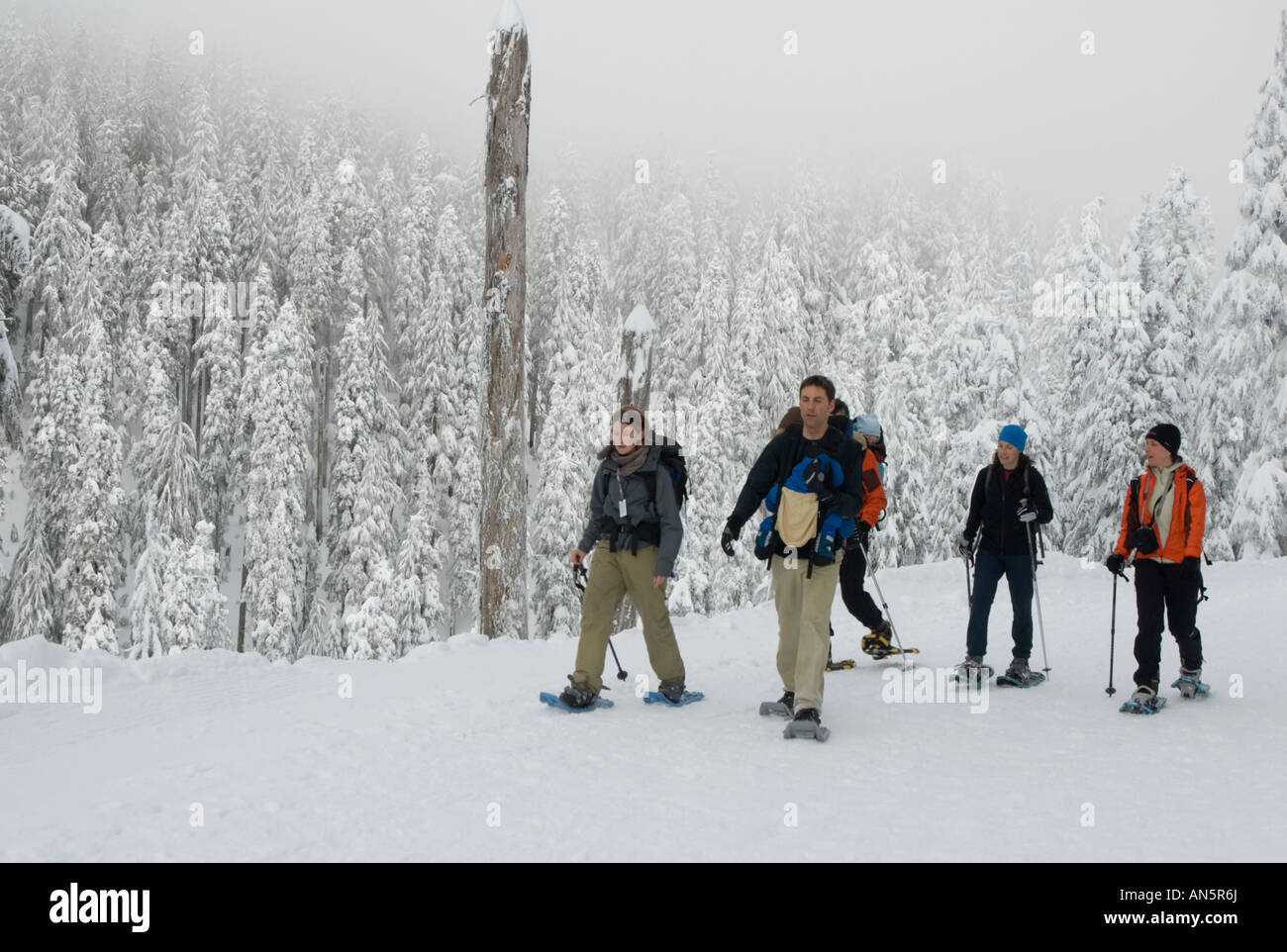 group of people snowshoeing Stock Photo - Alamy