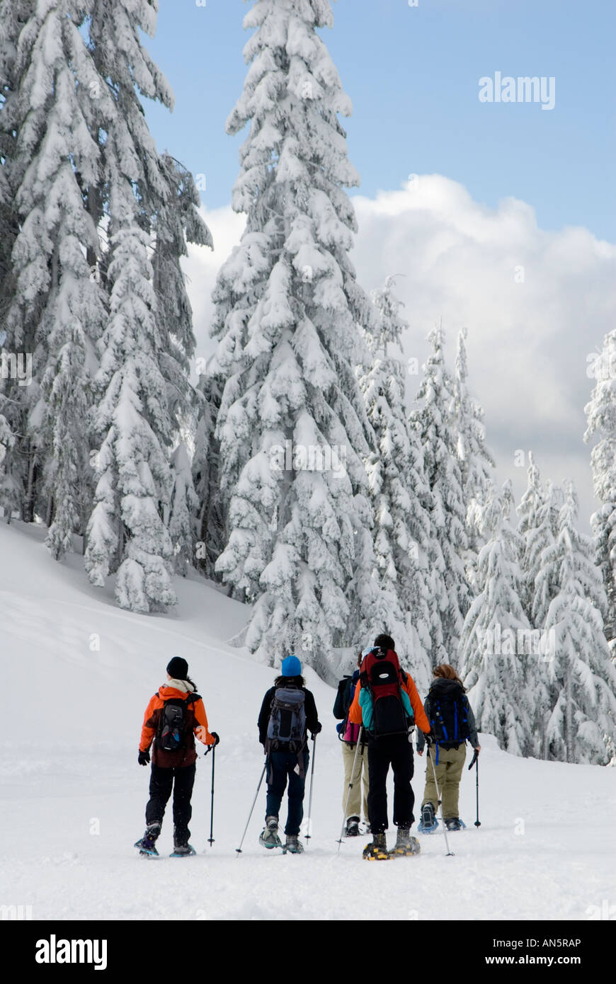 Group of people snowshoeing in winter outdoors in wilderness Stock ...