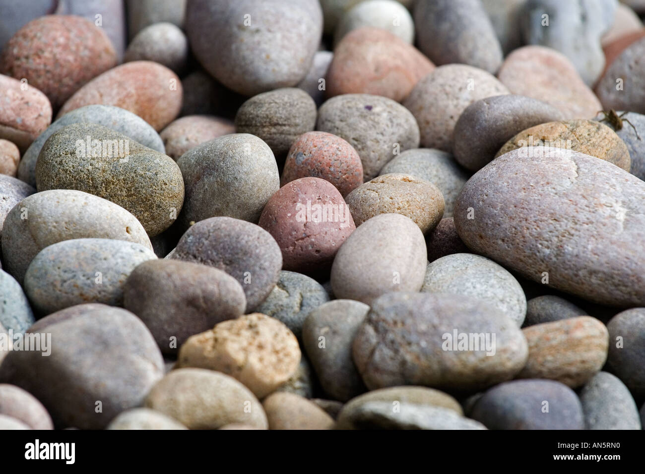 clean washed stones in garden Stock Photo - Alamy