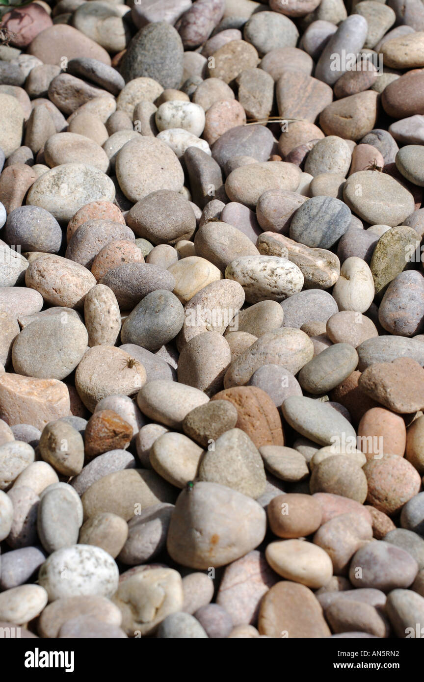 clean washed stones in garden Stock Photo - Alamy