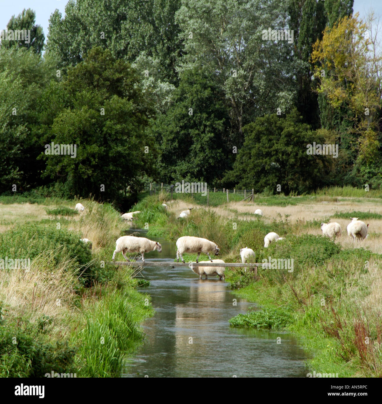 Salisbury wiltshire rivers hi-res stock photography and images - Alamy