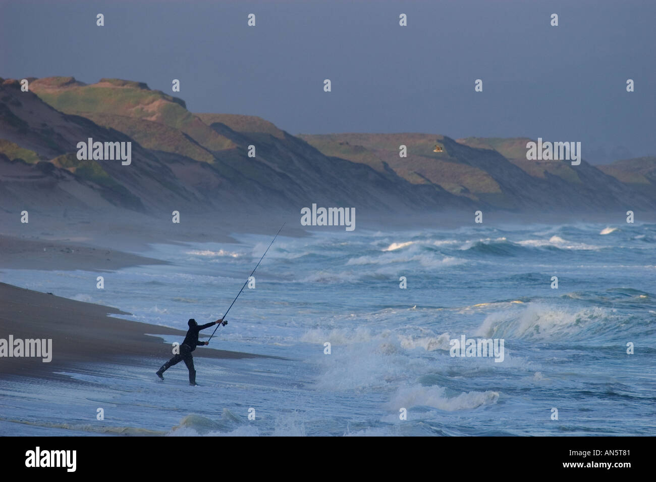 Fisherman casting into surf on beach at Marina Dunes State Park ...