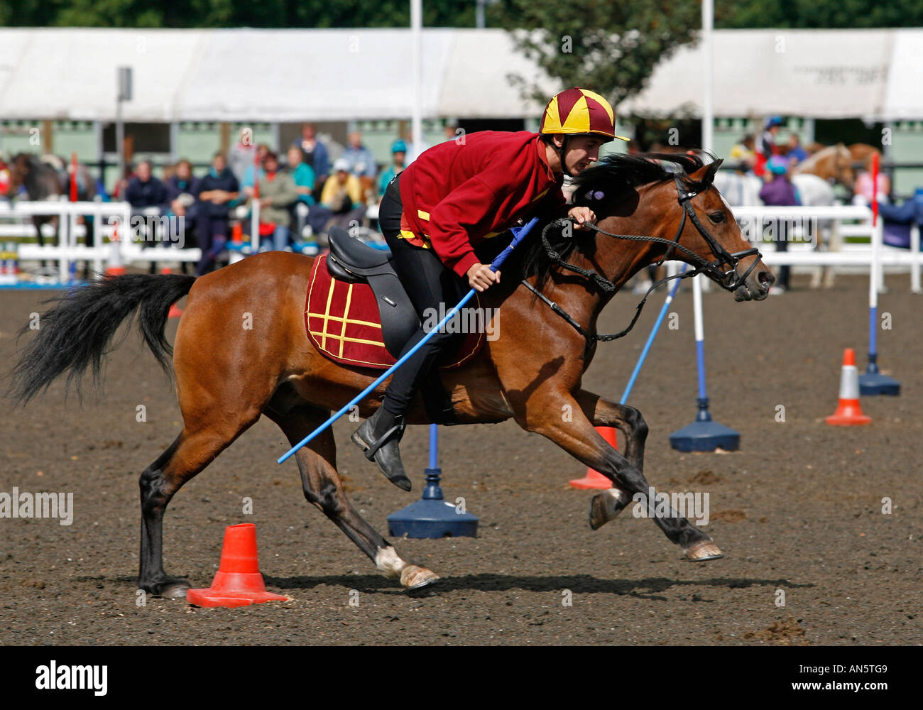 Mounted Games at the Town and Country Festival in Stoneleigh Coventry ...