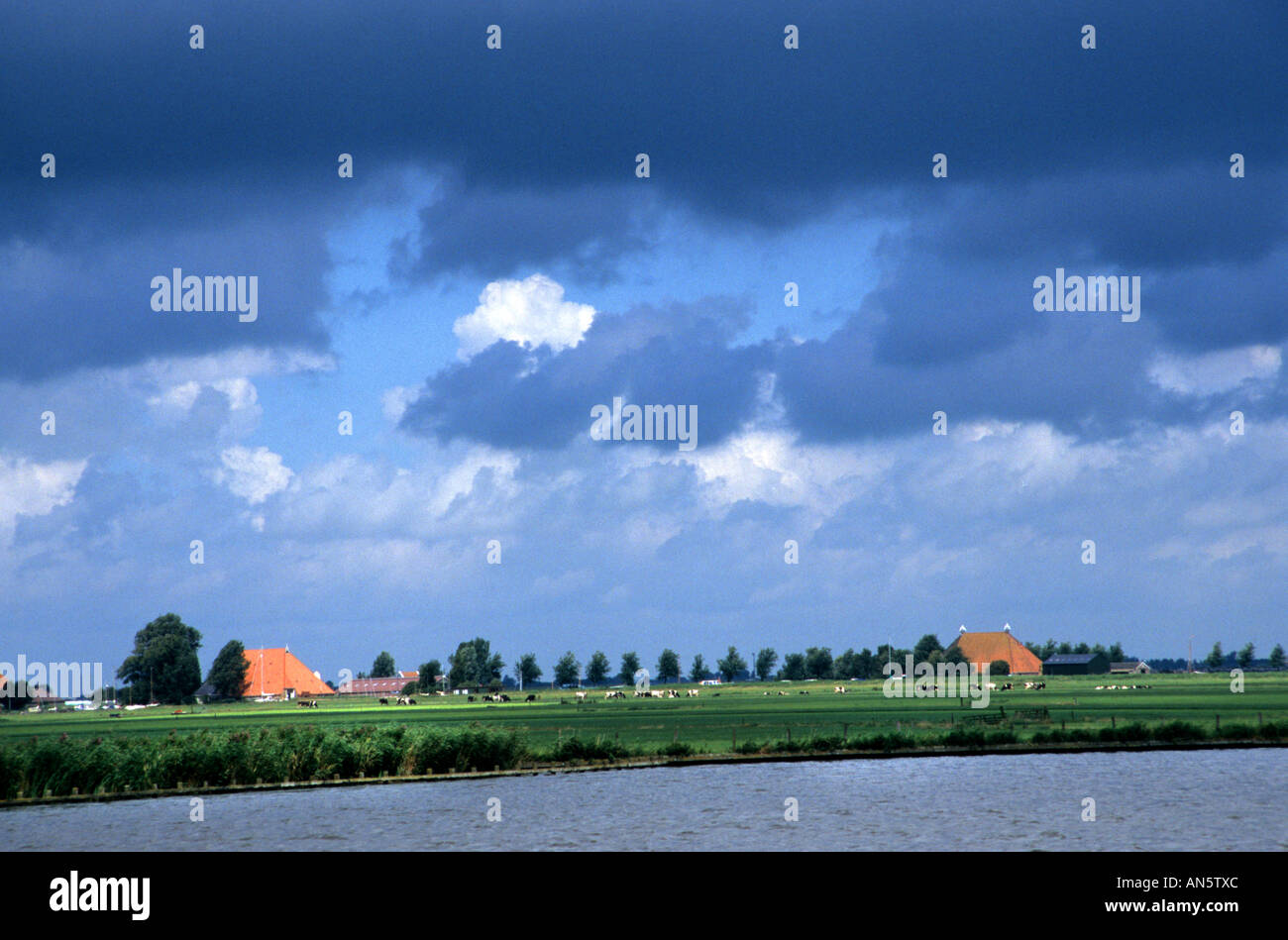 Farm Friesland Fryslan Netherlands Holland Stock Photo - Alamy