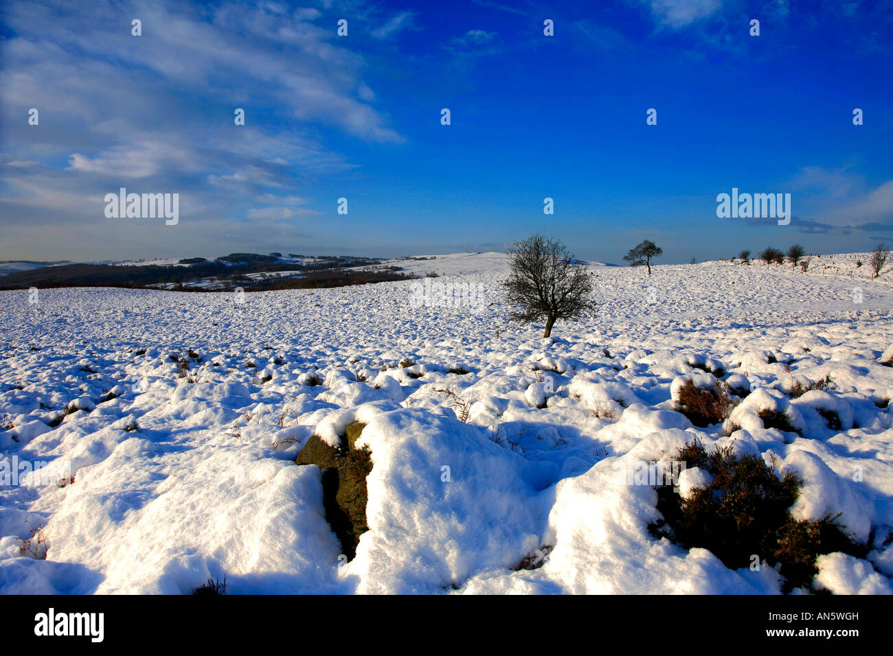 Lawrence field hi-res stock photography and images - Alamy