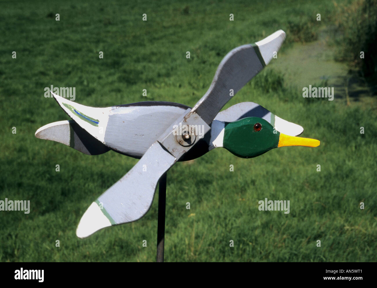 Flying duck toy wind windmill hi-res stock photography and images - Alamy
