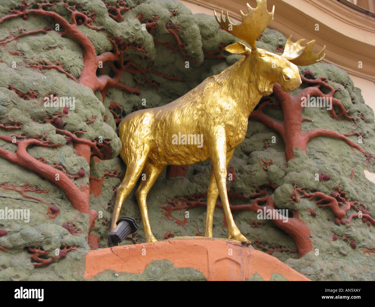 Gold antler hi-res stock photography and images - Alamy