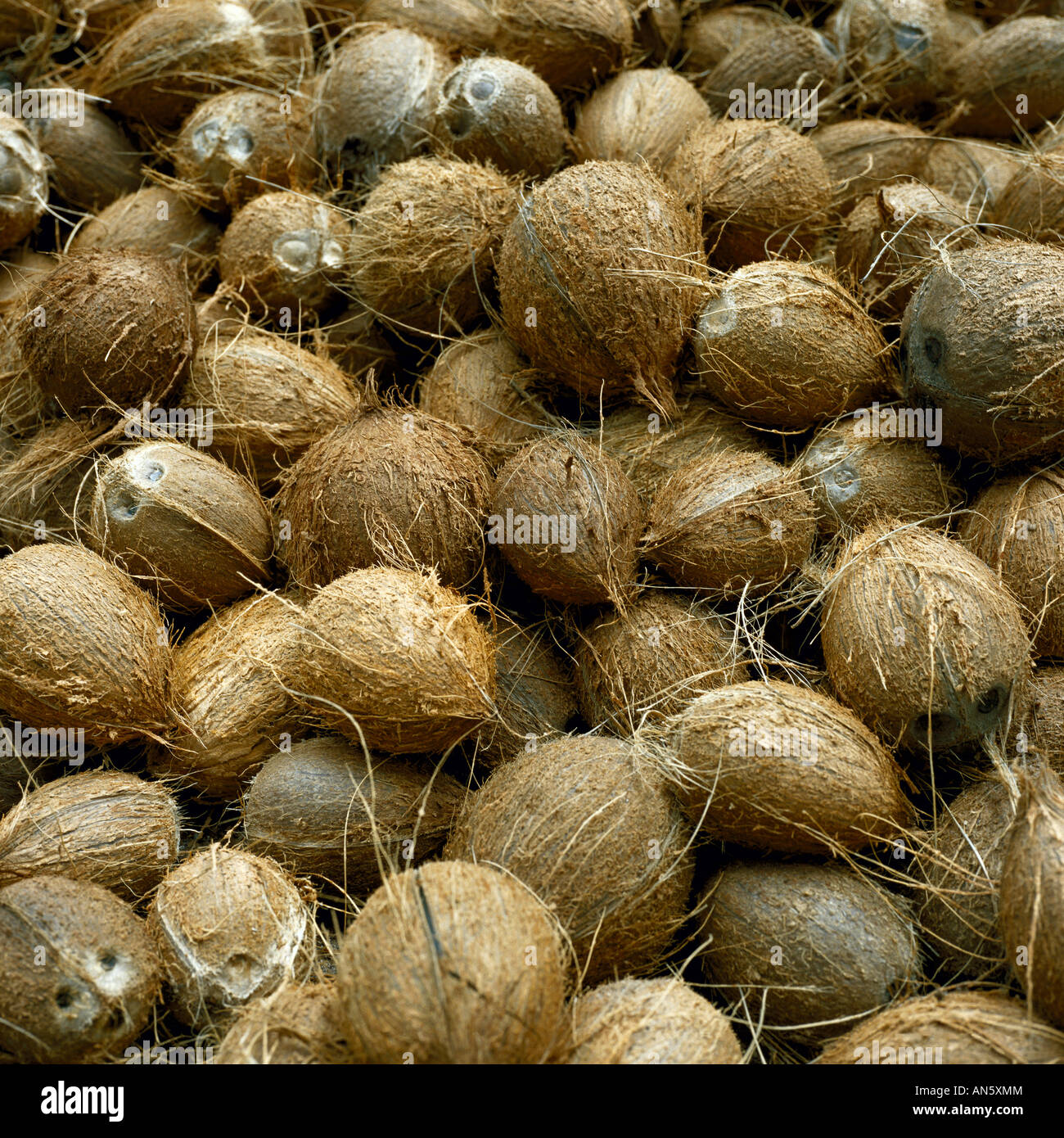 Large pile of coconuts hi-res stock photography and images - Alamy