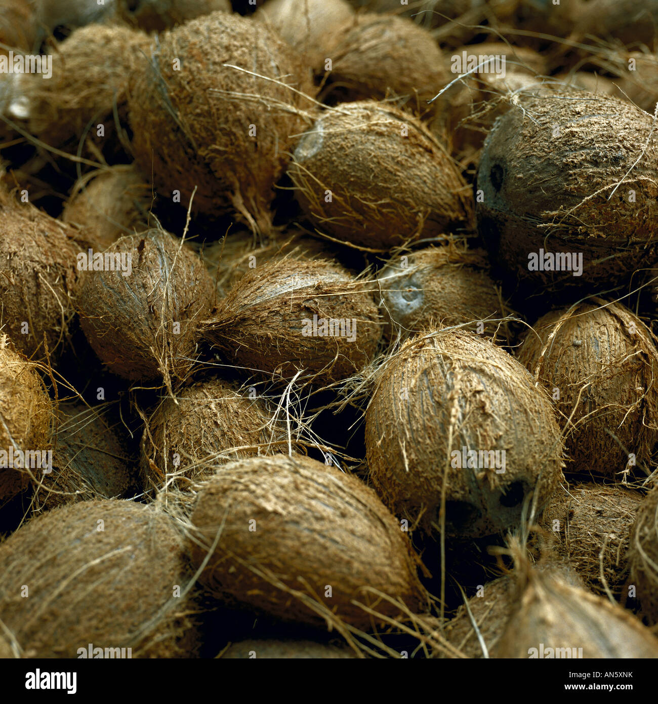 Coconut zoom hi-res stock photography and images - Alamy