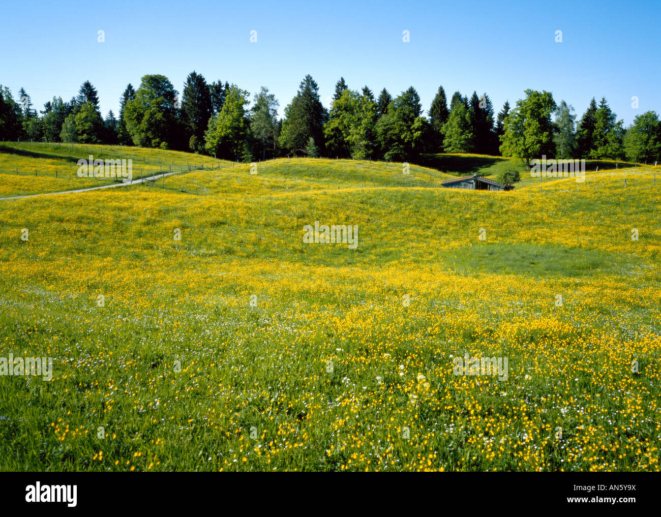 Wavy meadows spring landscape hi-res stock photography and images - Alamy