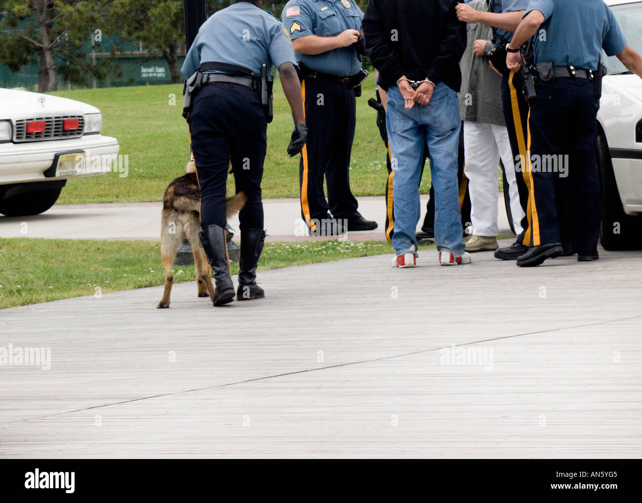 American police teamwork hi-res stock photography and images - Alamy