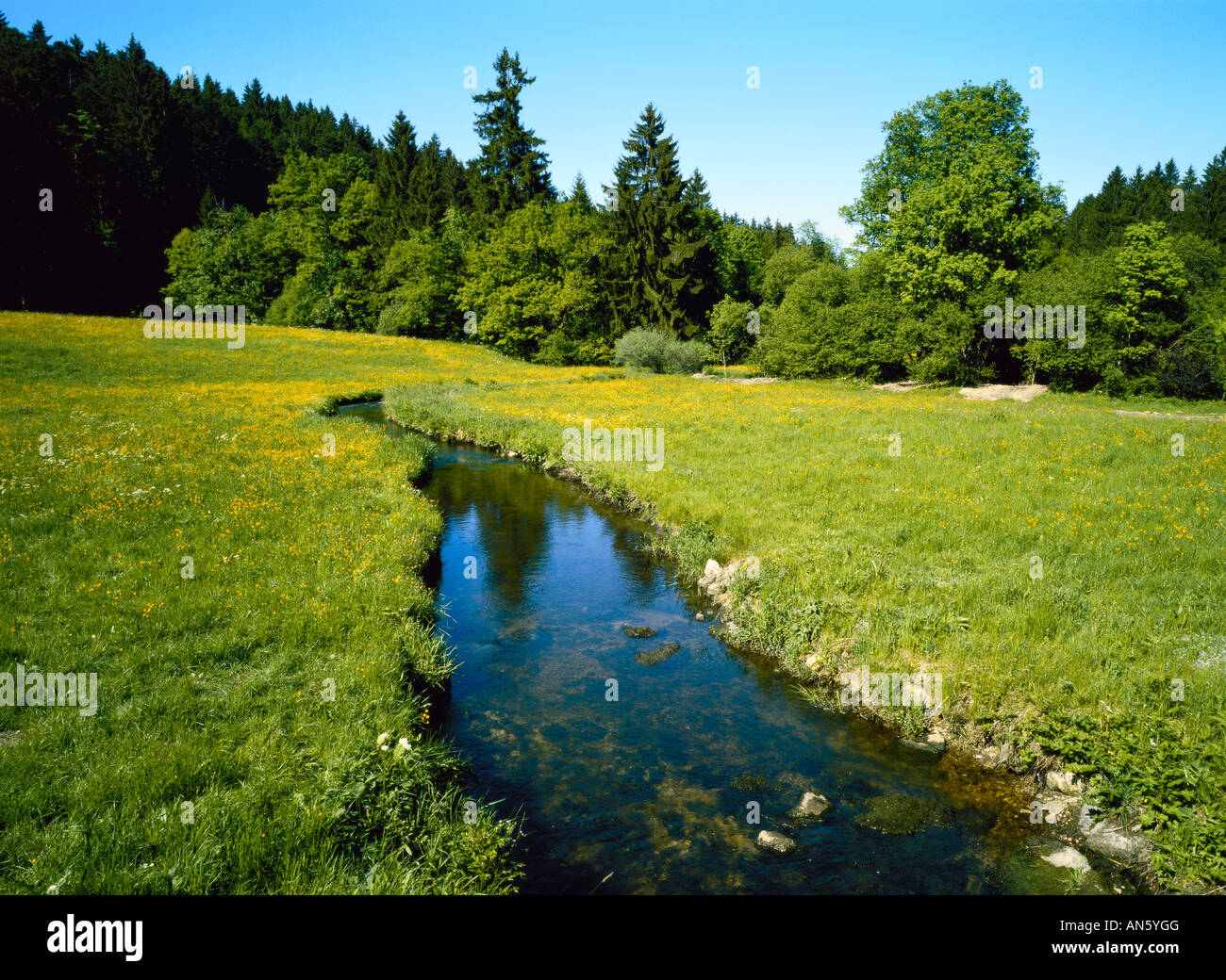 Blooming meadows and streamlet Stock Photo - Alamy