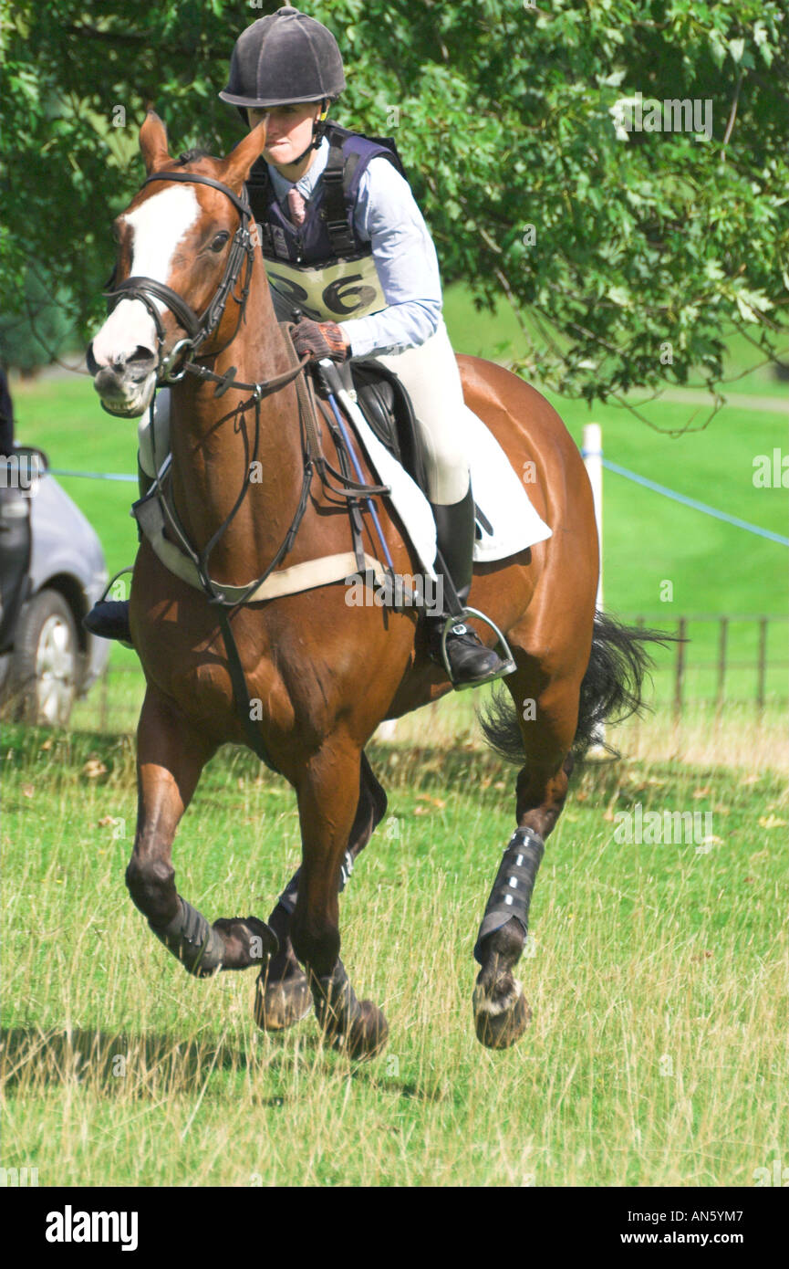 Three Day Event Rider competing at the Henbury Hall Horse Trials Stock ...