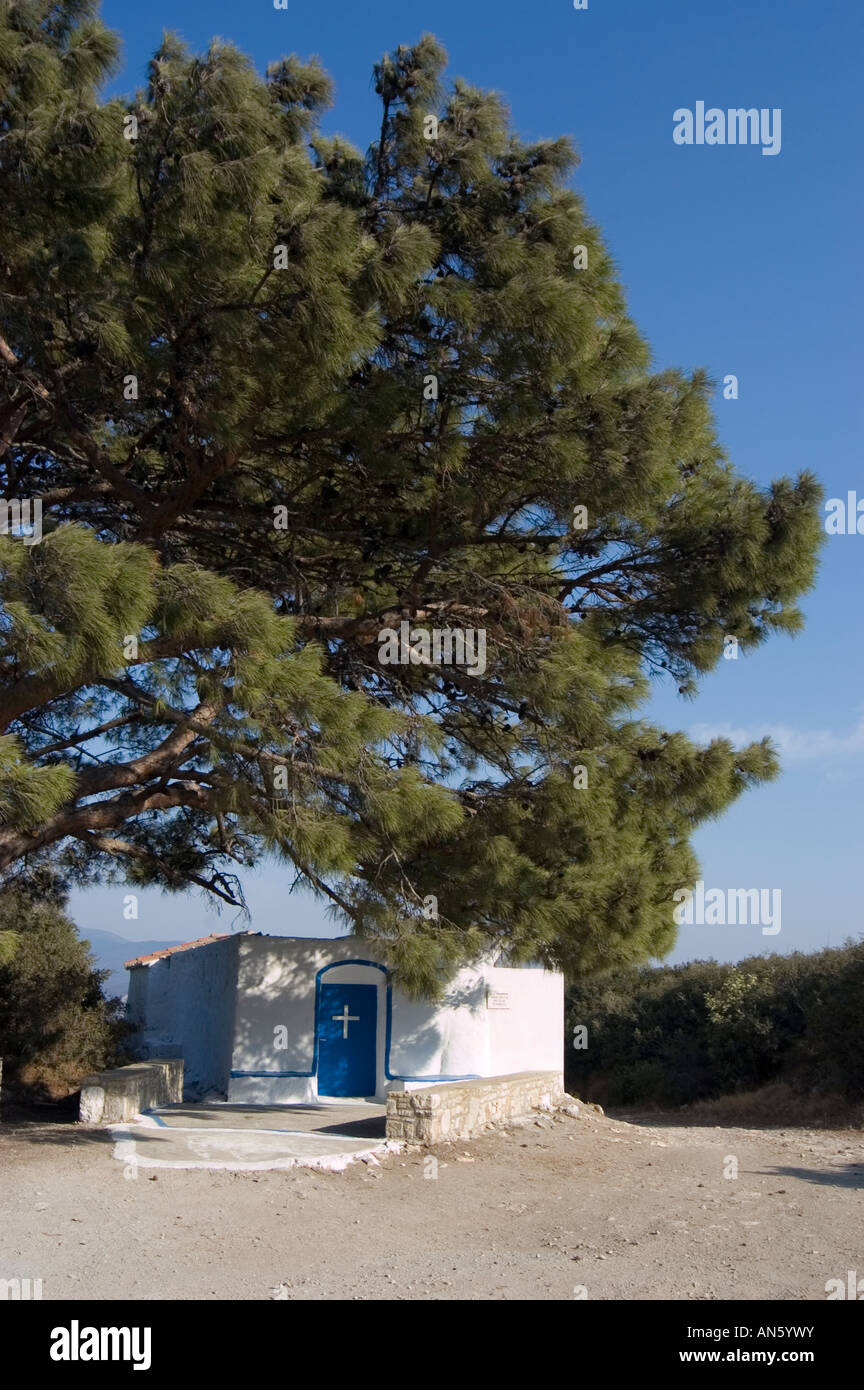 Greek orthodox chapel under a pine tree Stock Photo - Alamy