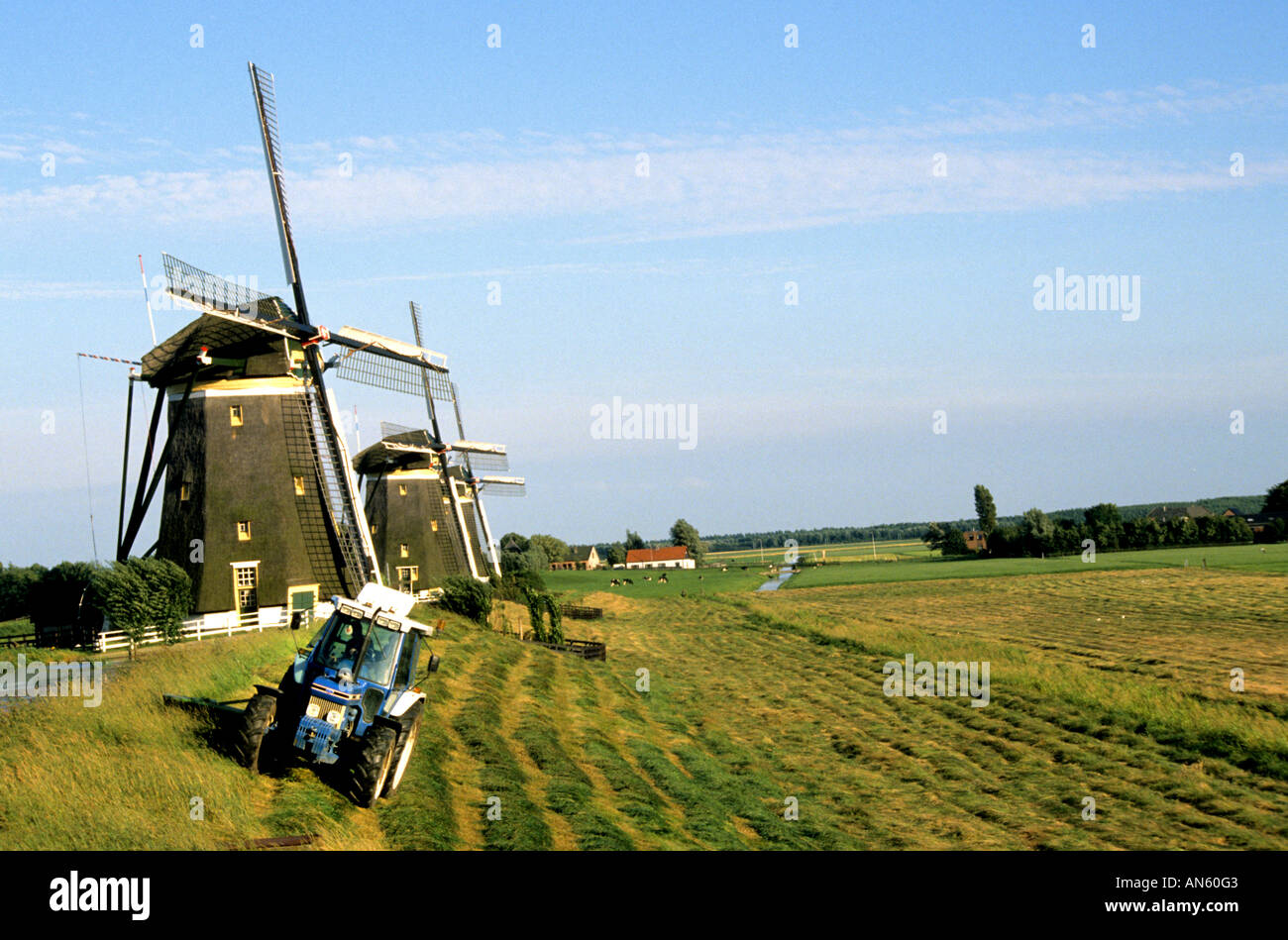 Windmill Windmills Leidschendam near the Hague Netherlands Holland Farm ...