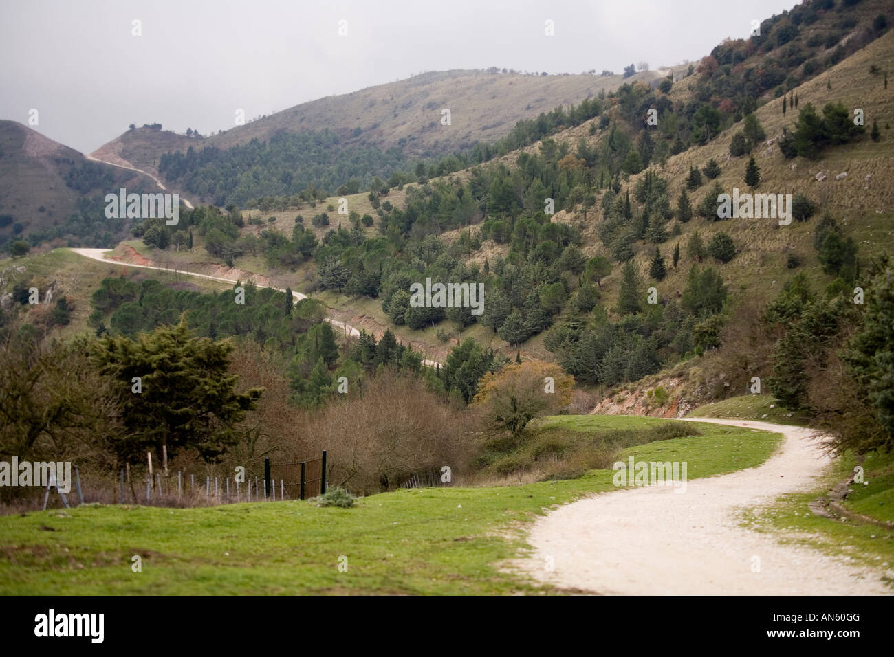 Mountain road Ficuzza Palermo Sicily Italy Stock Photo - Alamy