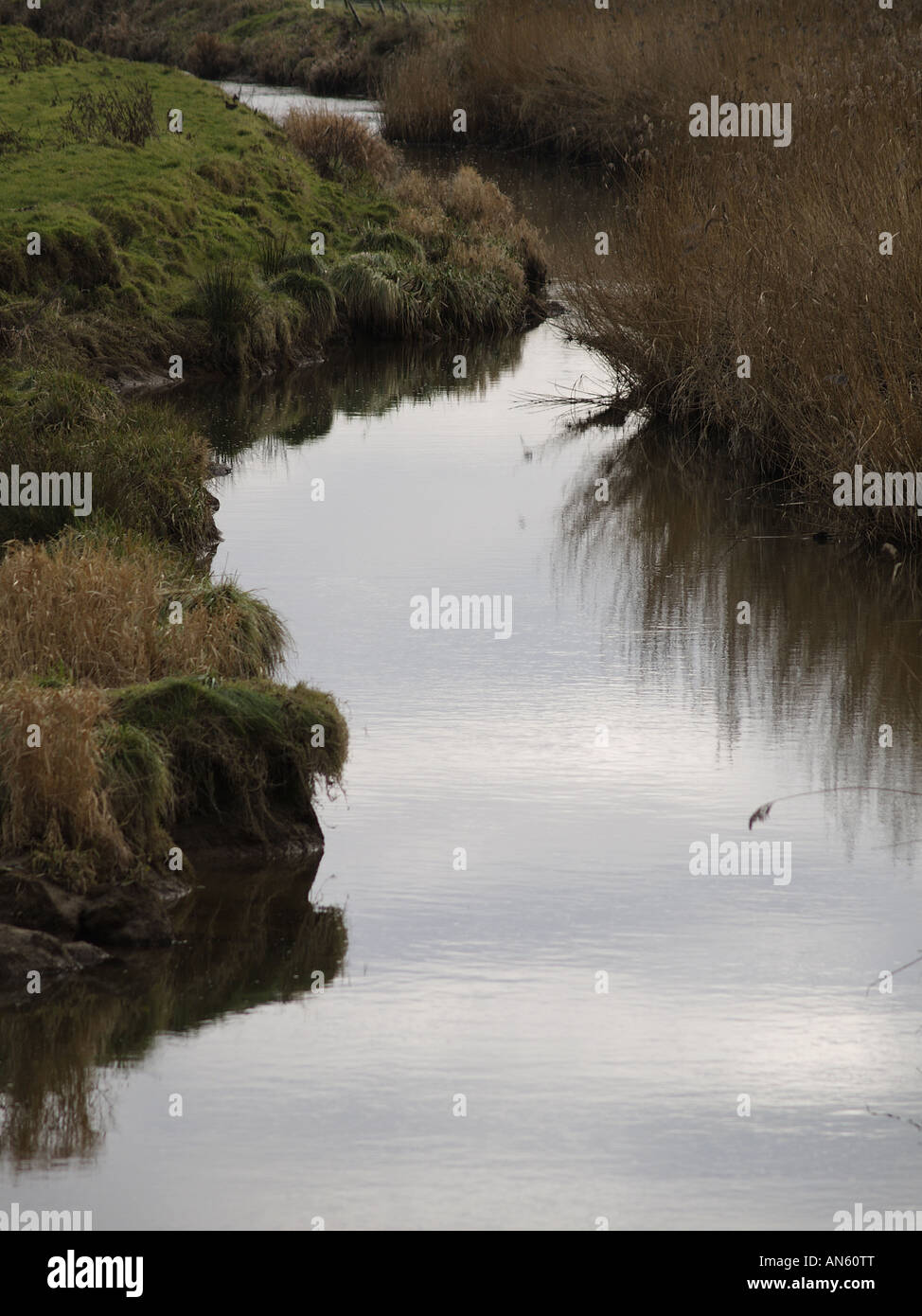 Grassy river bank hi-res stock photography and images - Alamy