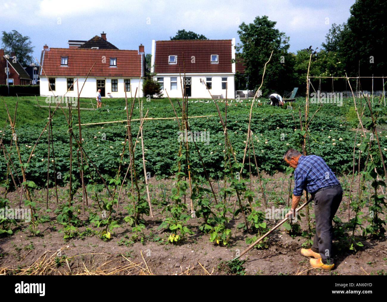 Friesland Fryslan Netherlands Holland Farm House Stock Photo - Alamy
