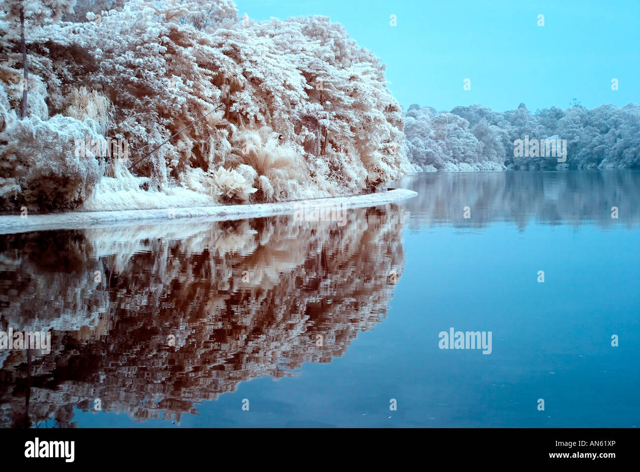 Digital Infrared Photography Natural Scenes Still Water Reflection ...
