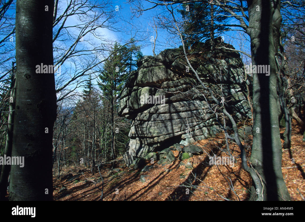 Nationalpark bayrischer hi-res stock photography and images - Alamy