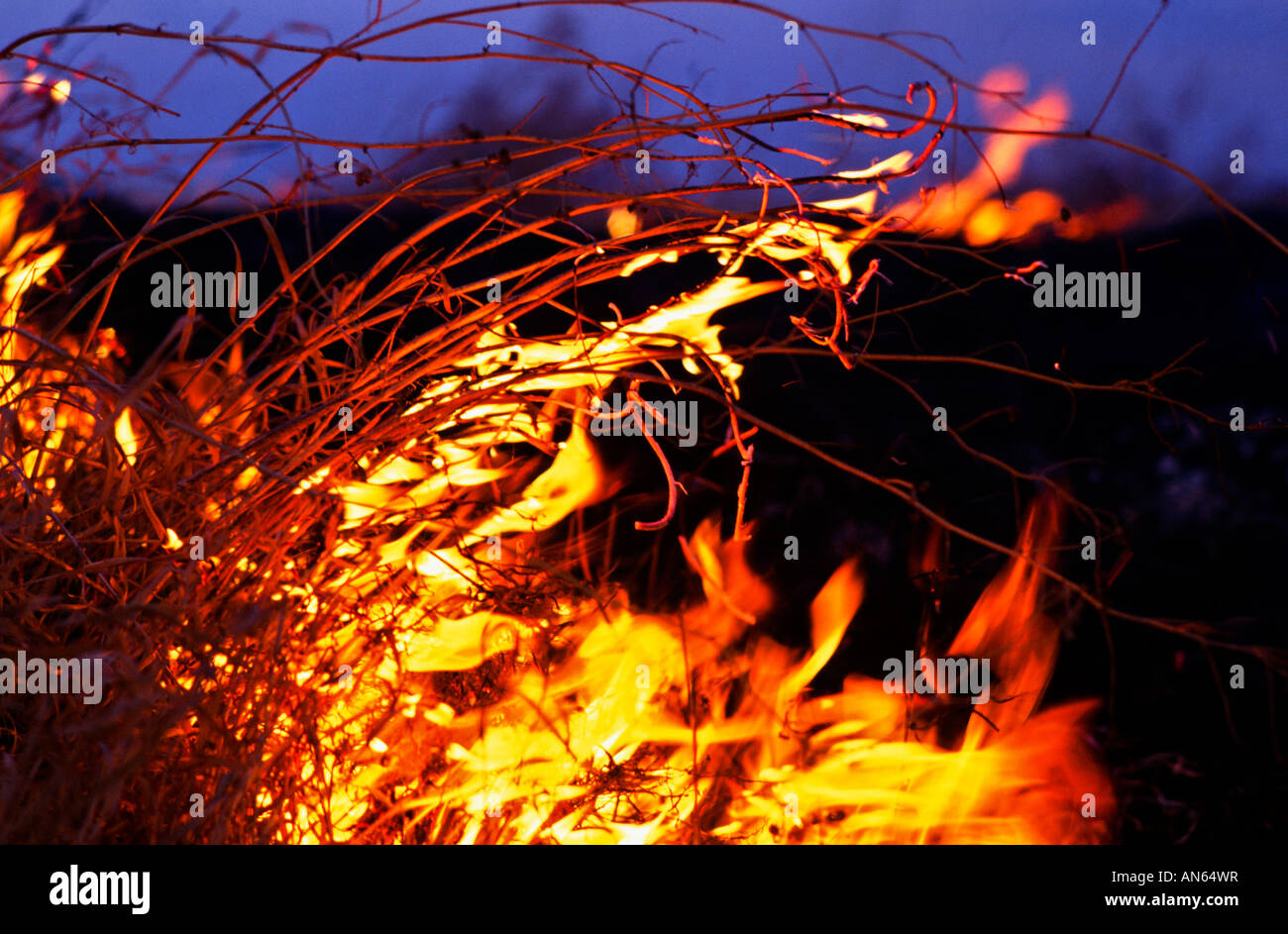 Burninggrass hi-res stock photography and images - Alamy