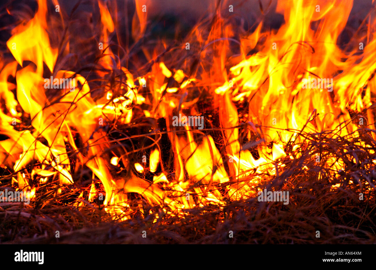 Grassfire hi-res stock photography and images - Alamy