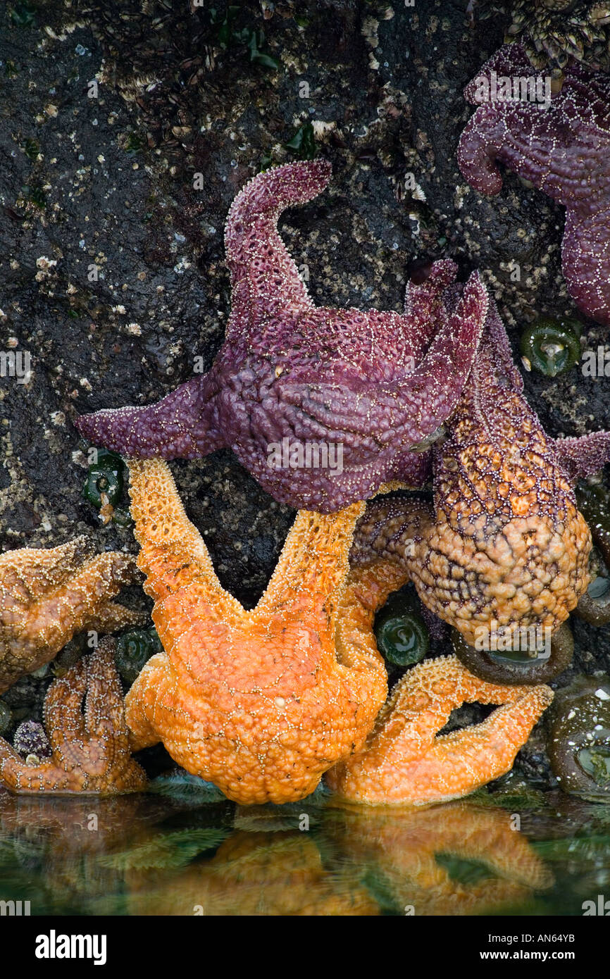 Below tide level hi-res stock photography and images - Alamy