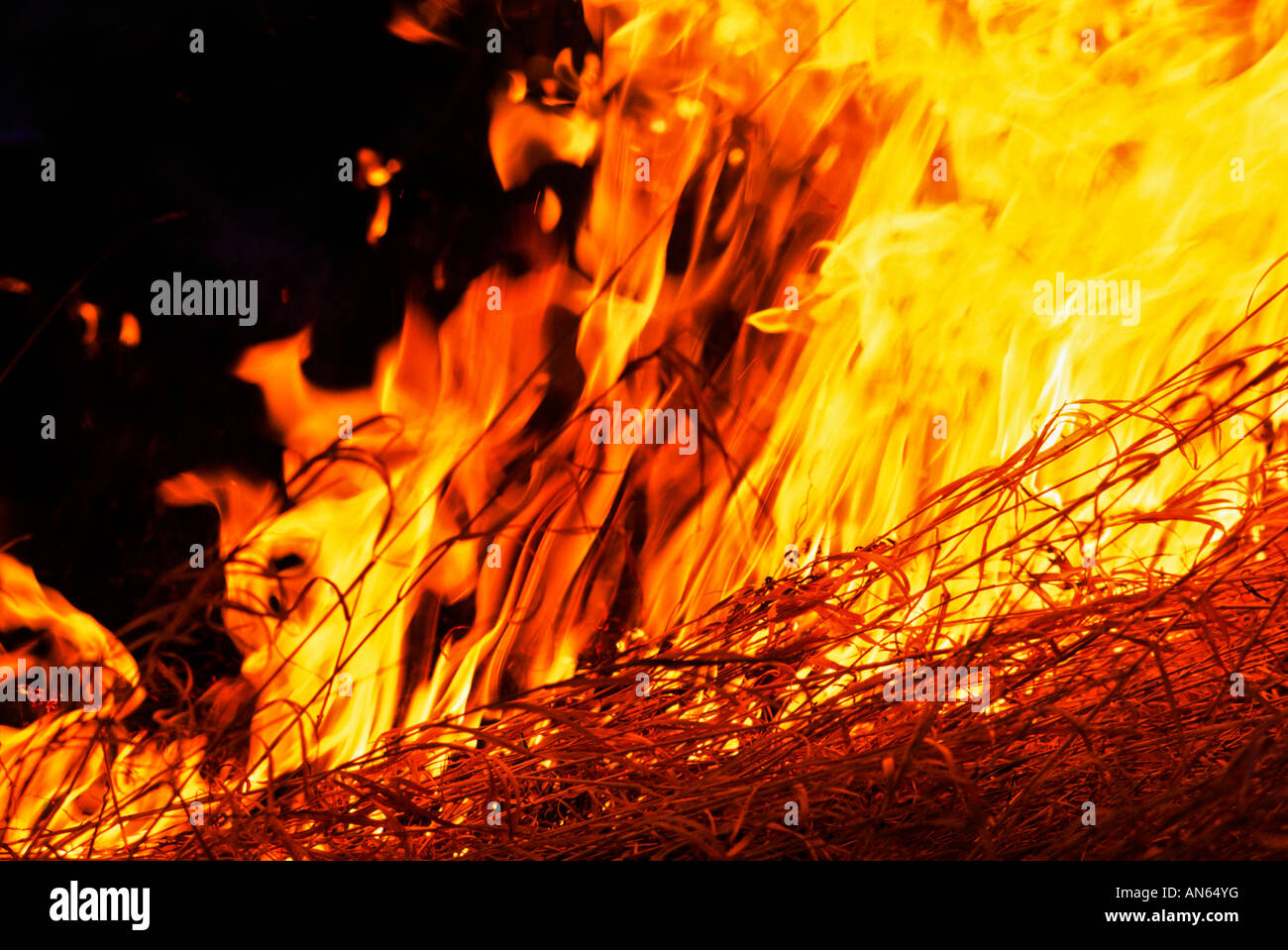 Burninggrass hi-res stock photography and images - Alamy