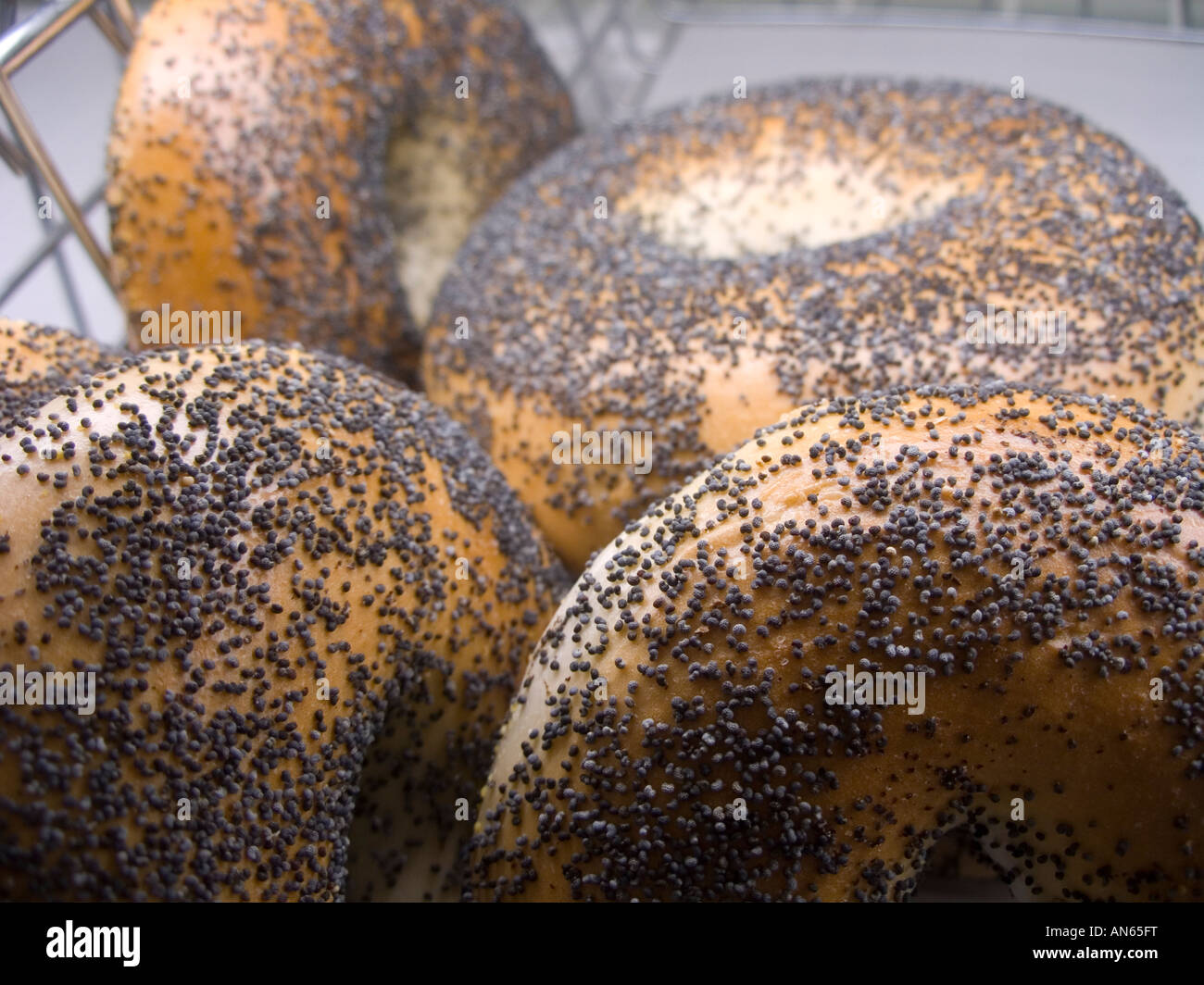 Richard seed hi-res stock photography and images - Alamy