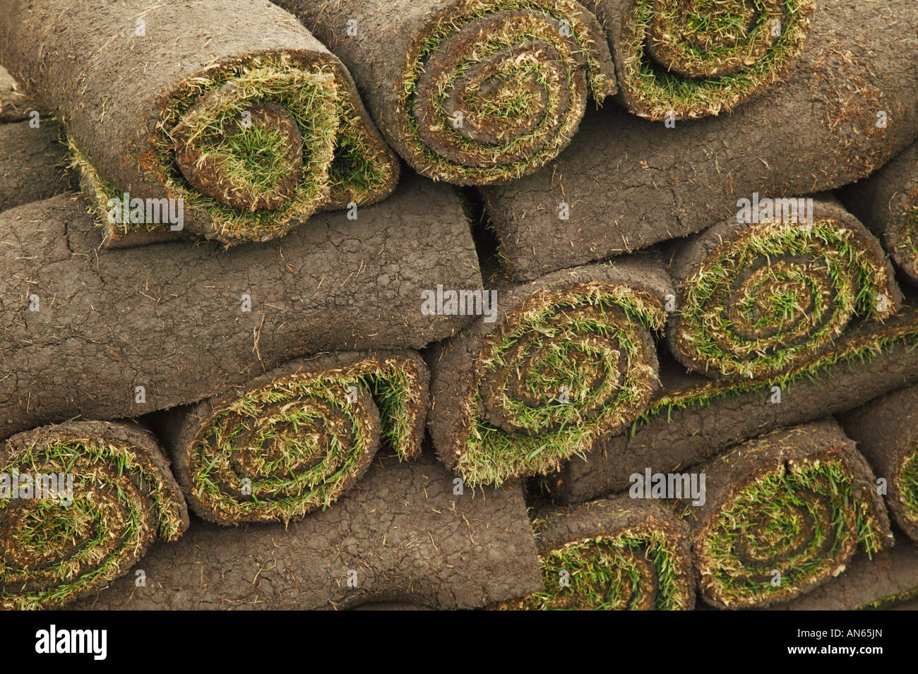 Turf in hi-res stock photography and images - Alamy
