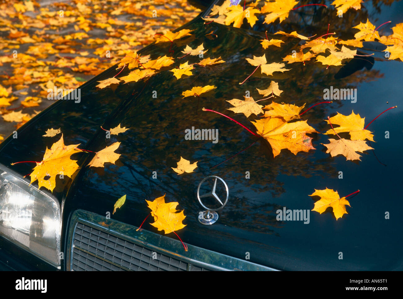 Auto deutschland hi-res stock photography and images - Alamy