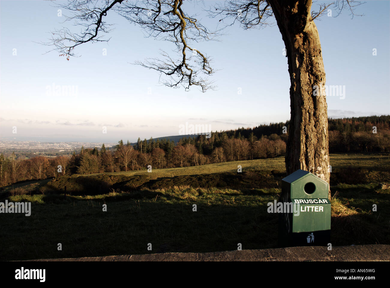 Litter Bin At Base of Tree, Dublin Mountains, Ireland. Dublin City in ...