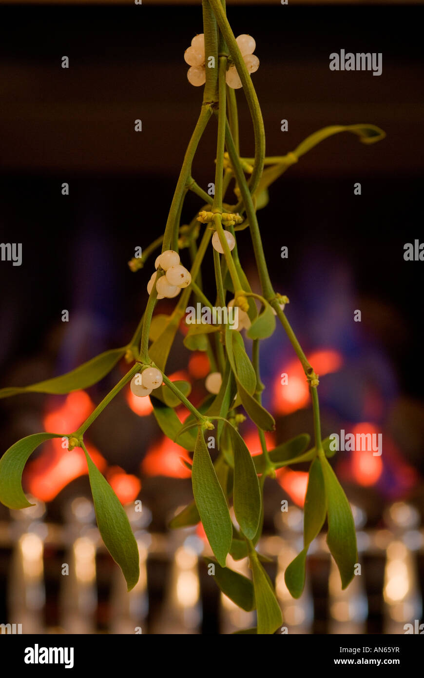 Mistletoe in front of glowing fire Stock Photo - Alamy