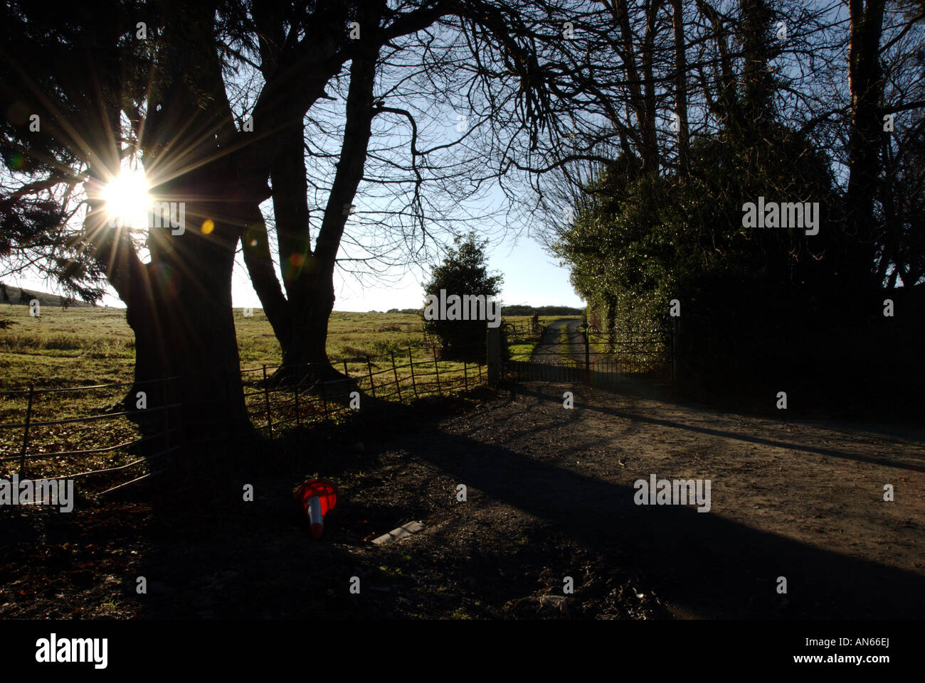 Discarded Orange Road Works Cone Outside Gate to Country Estate Stock ...